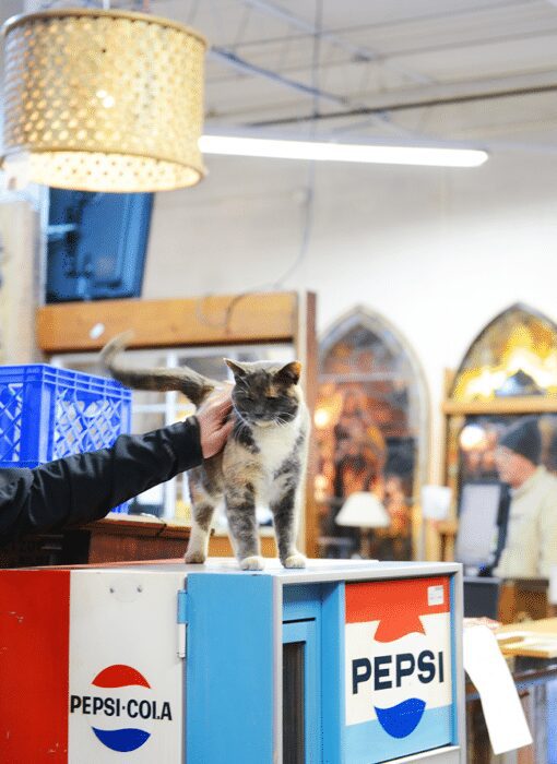 A Chicago Salvage Shop with Purpose - Yellow Brick Home