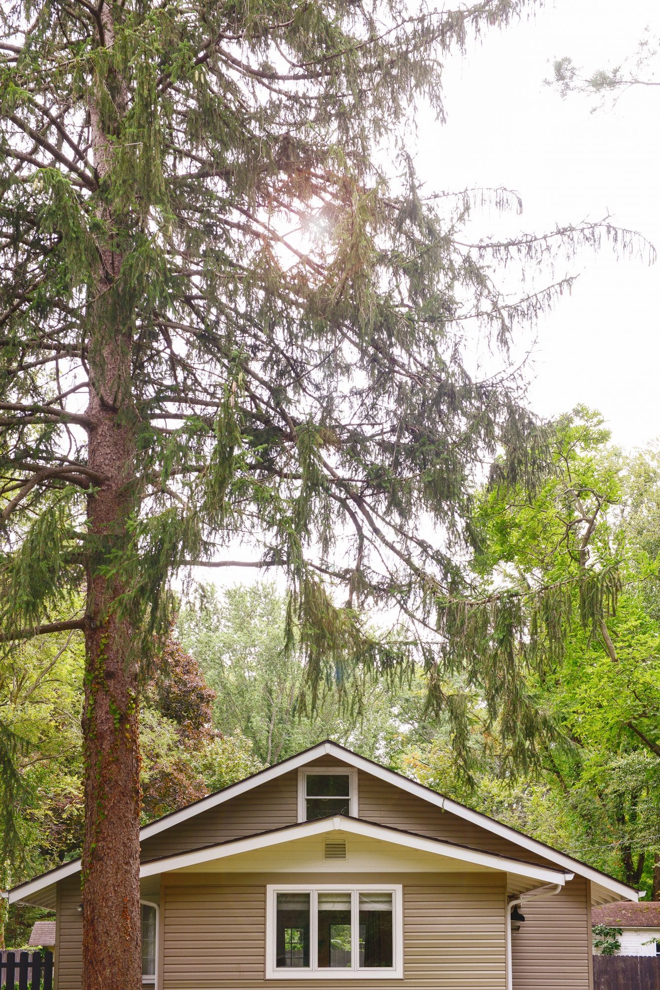 Our Tree House Has a Whole New Look! - Yellow Brick Home