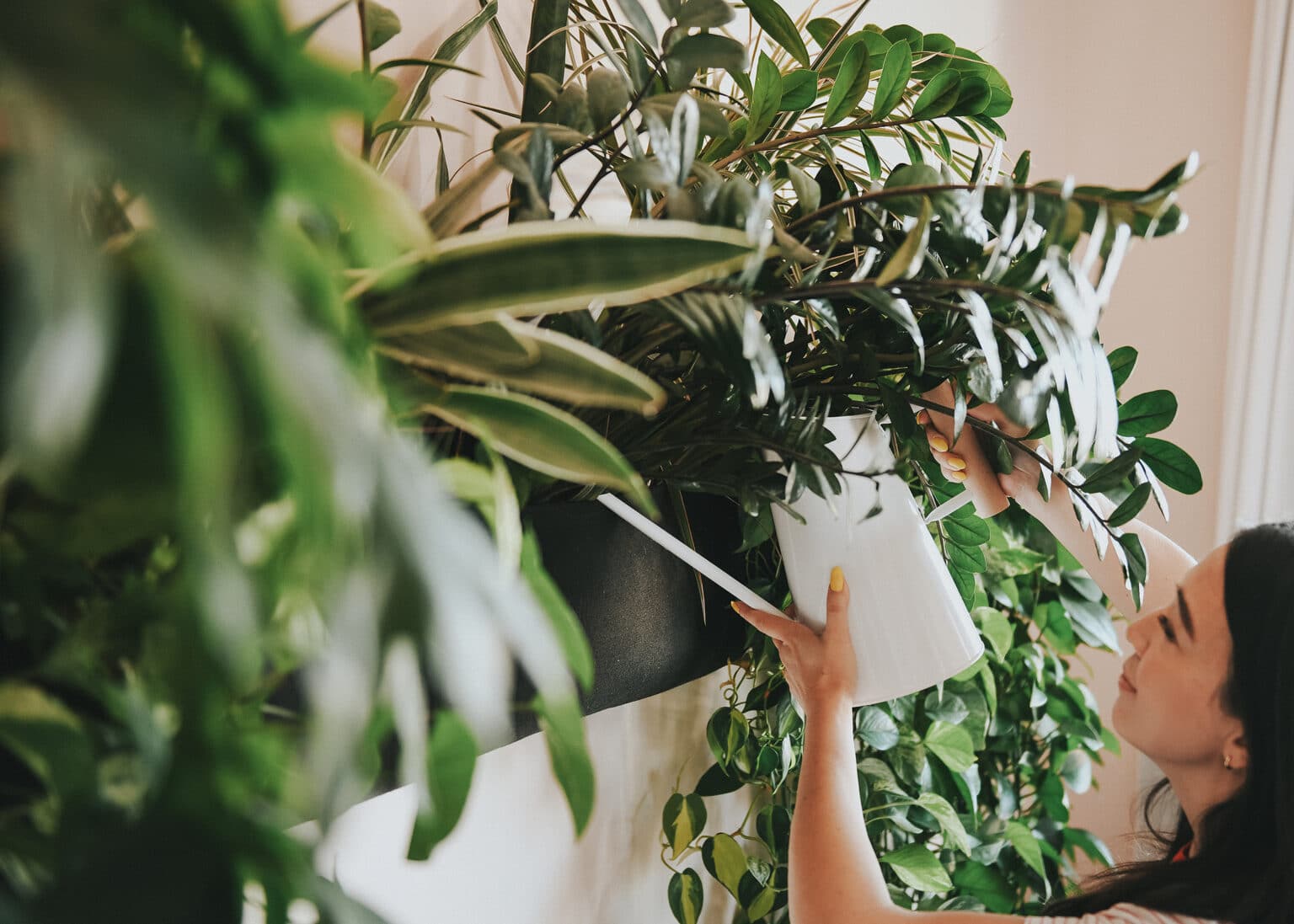A Quick Start Guide to Happy Houseplants - Yellow Brick Home