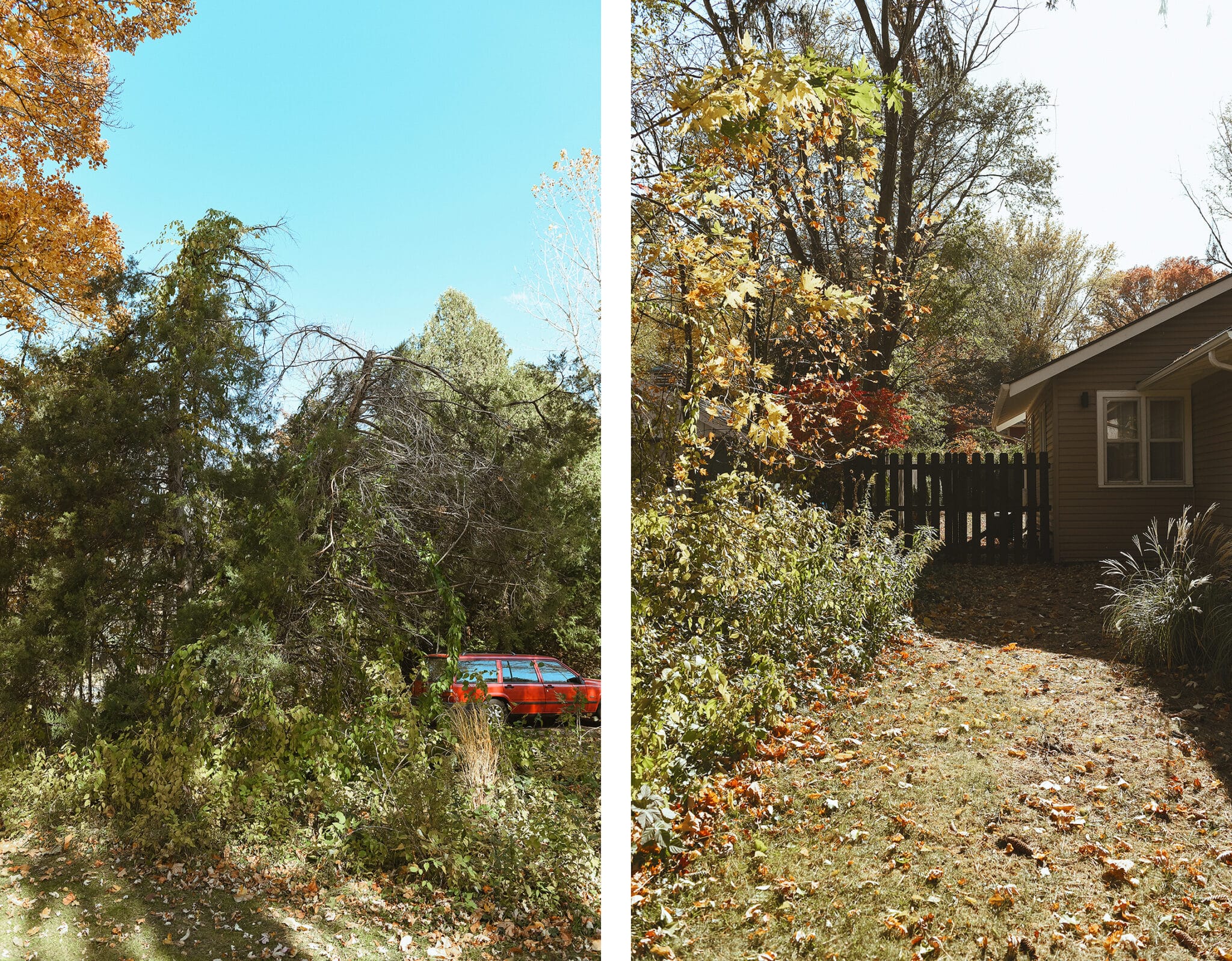 Why We're Landscaping the Front Yard at Tree House - Yellow Brick Home