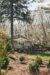 The Reveal of Our Tree House Front Yard! - Yellow Brick Home