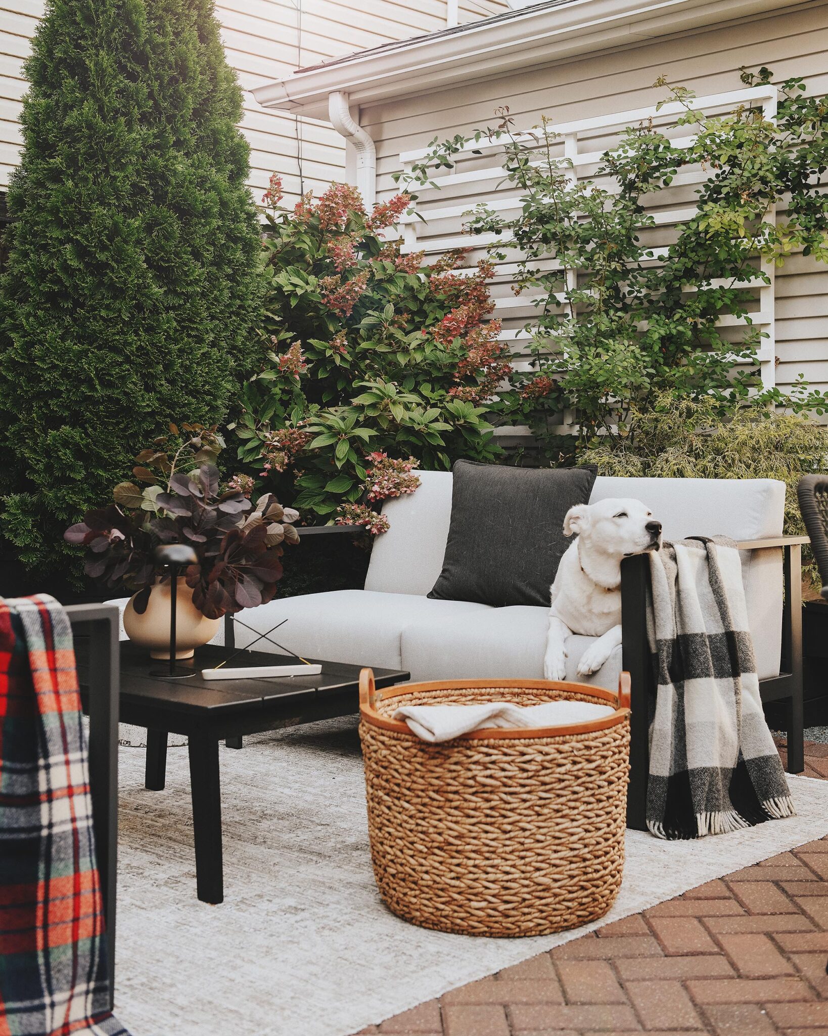 16 Large Baskets to Organize Your Home - Yellow Brick Home